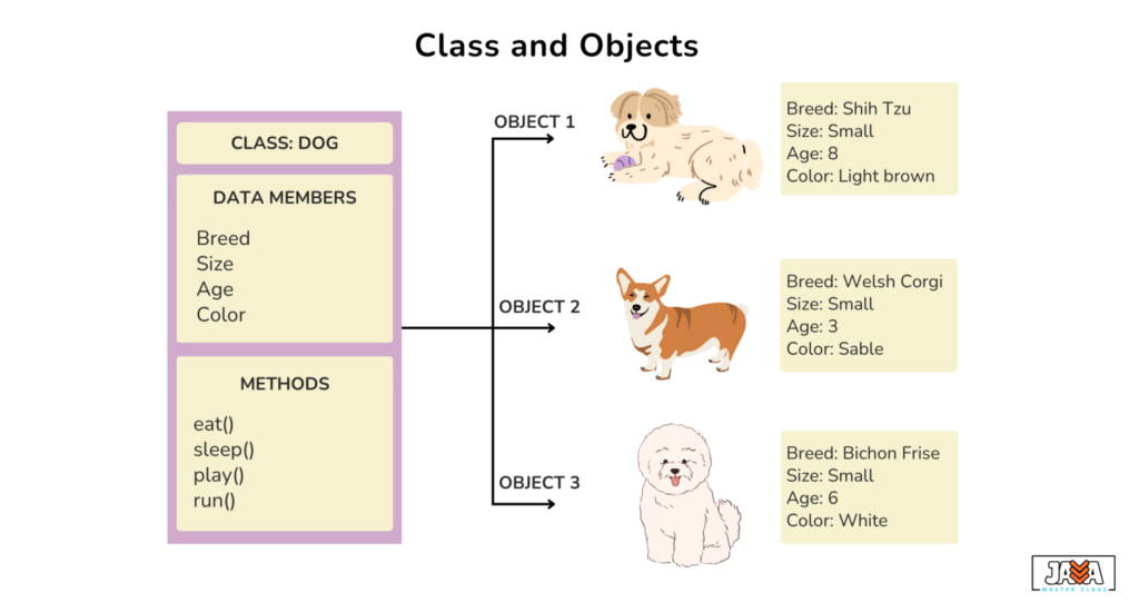 Class and Objects - javamasterclass.com